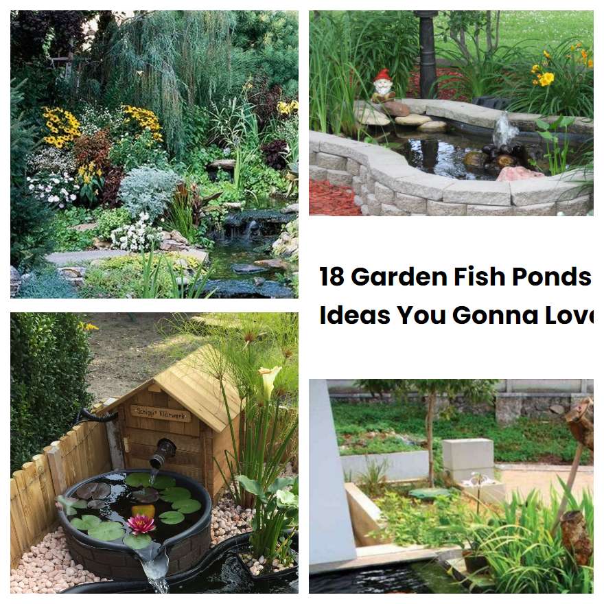 18 Garden Fish Ponds Ideas You Gonna Love | SharonSable