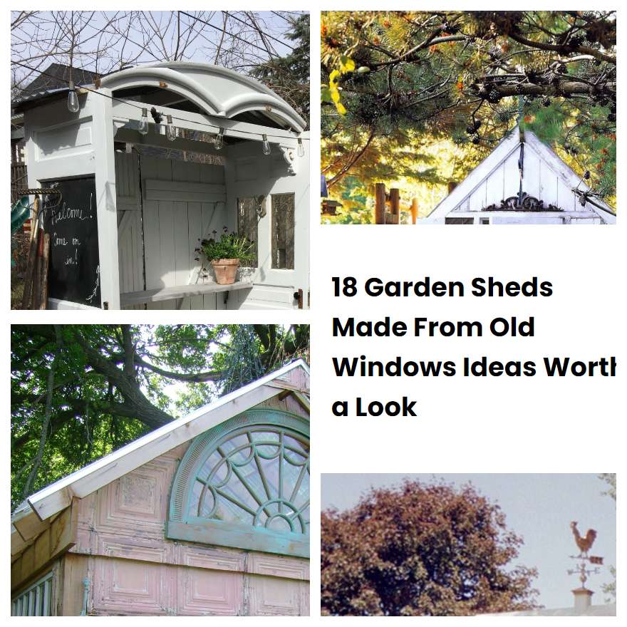 18 Garden Sheds Made From Old Windows Ideas Worth a Look | SharonSable