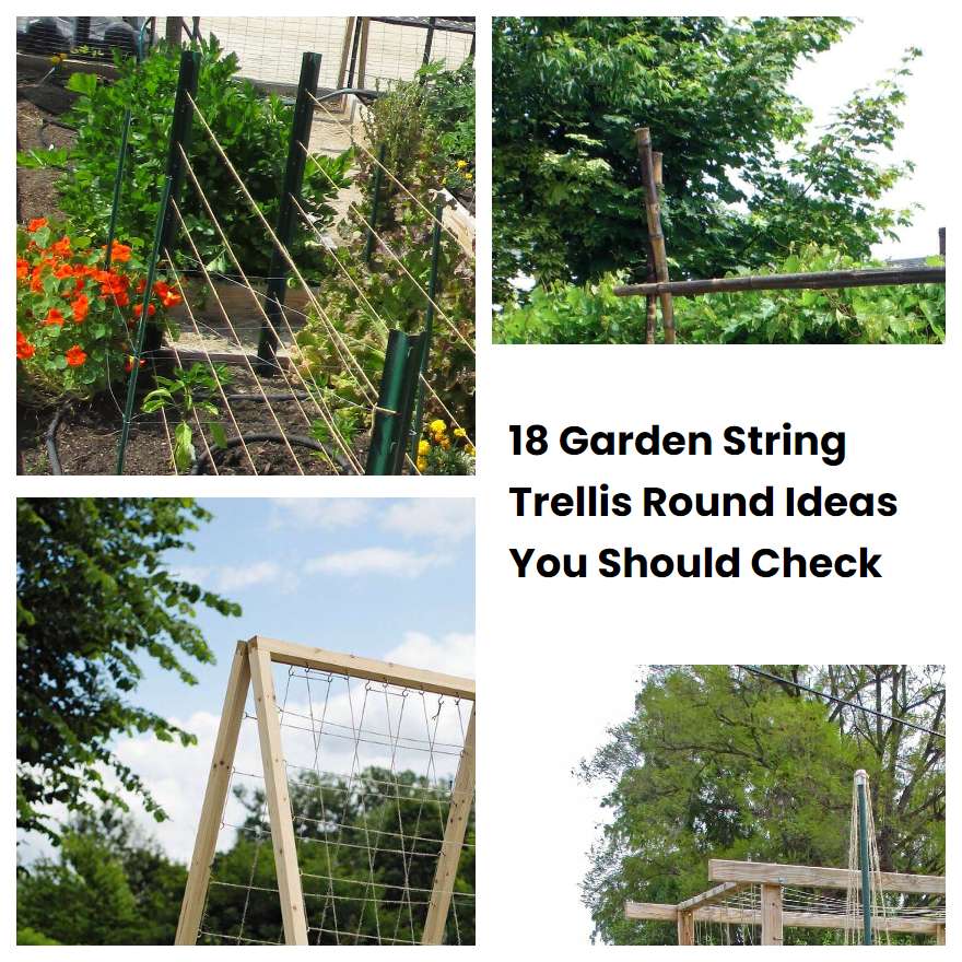 18 Garden String Trellis Round Ideas You Should Check | SharonSable