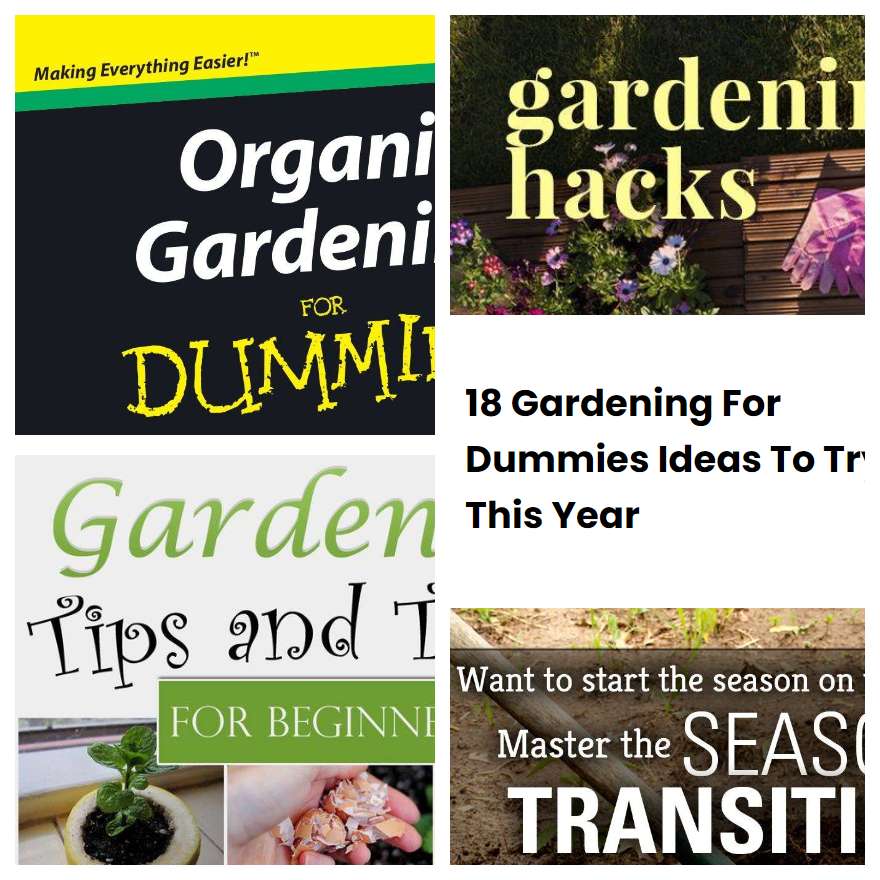 18 Gardening For Dummies Ideas To Try This Year | SharonSable