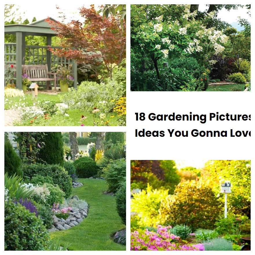 18 Gardening Pictures Ideas You Gonna Love | SharonSable