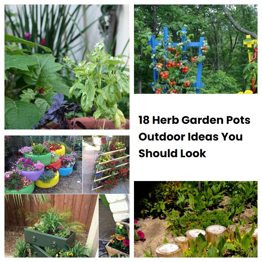18 Herb Garden Pots Outdoor Ideas You Should Look | SharonSable