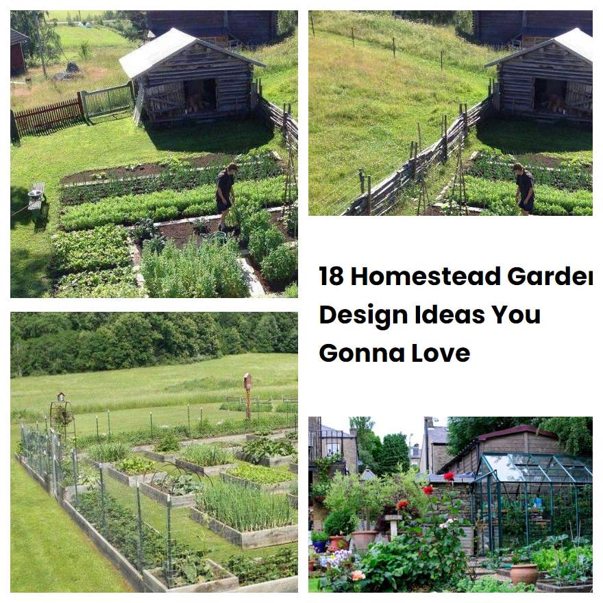 18 Homestead Garden Design Ideas You Gonna Love | SharonSable