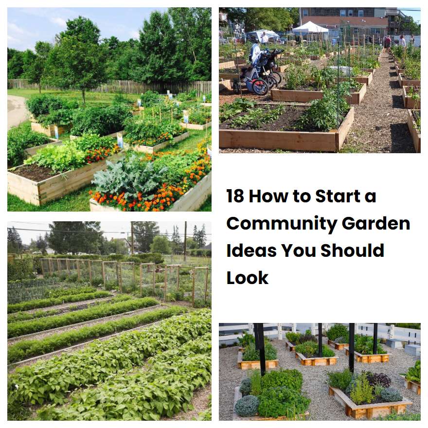 18 How to Start a Community Garden Ideas You Should Look | SharonSable