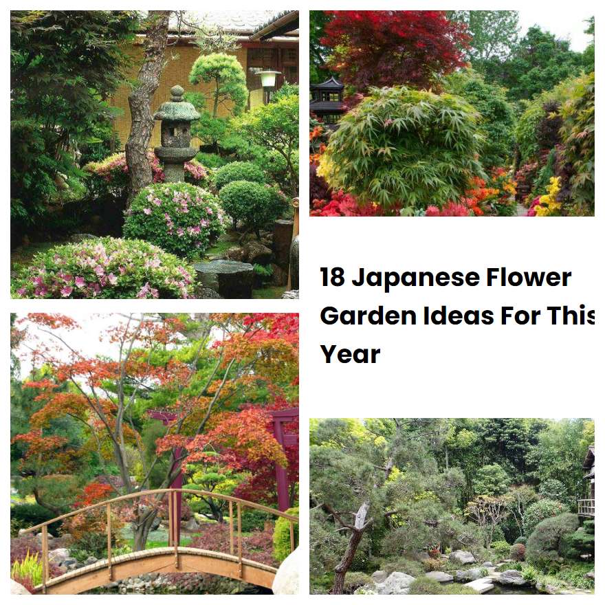 18 Japanese Flower Garden Ideas For This Year | SharonSable
