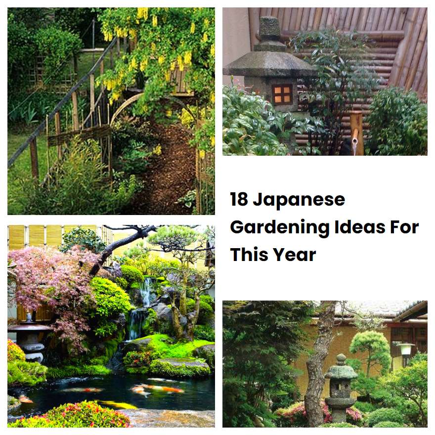18 Japanese Gardening Ideas For This Year | SharonSable