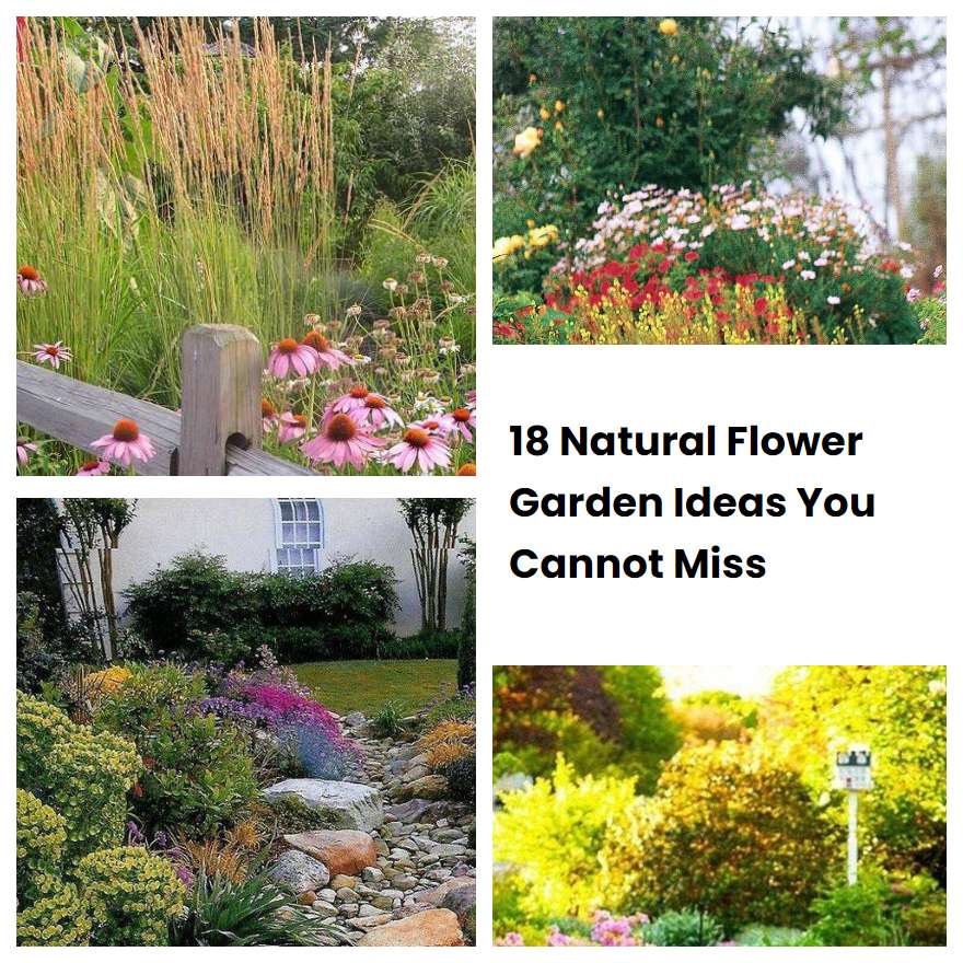 18 Natural Flower Garden Ideas You Cannot Miss | SharonSable