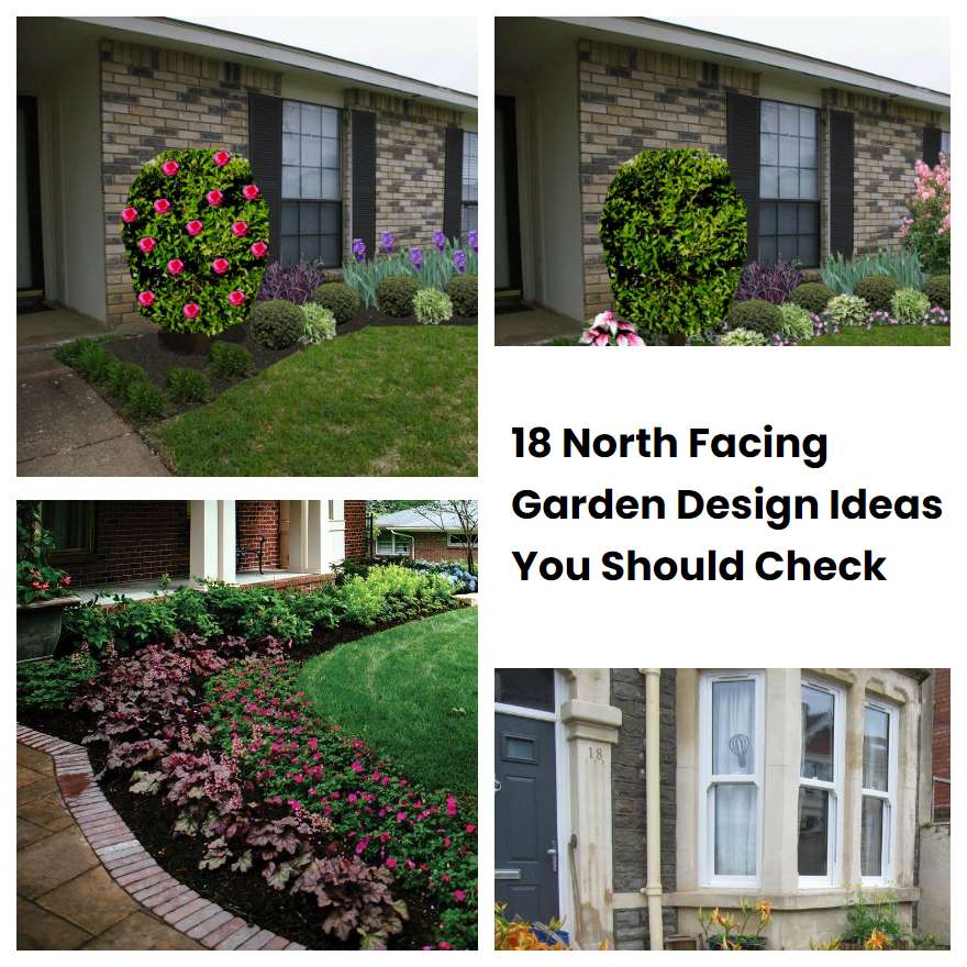 18 North Facing Garden Design Ideas You Should Check | SharonSable