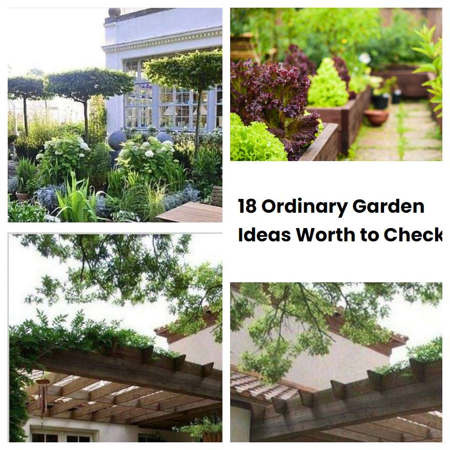 18 Ordinary Garden Ideas Worth to Check | SharonSable