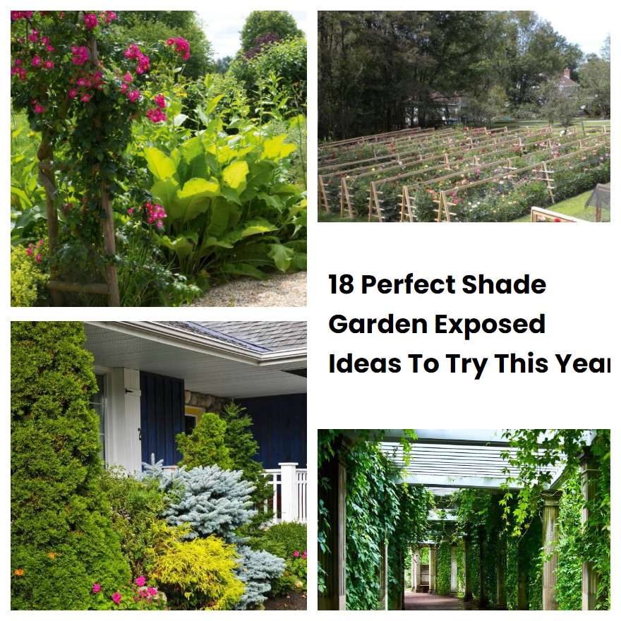 18 Perfect Shade Garden Exposed Ideas To Try This Year | SharonSable