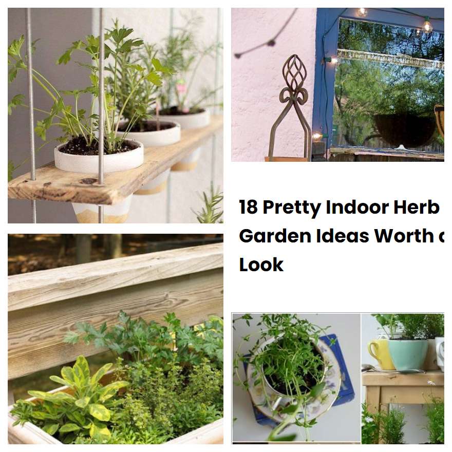 18 Pretty Indoor Herb Garden Ideas Worth a Look | SharonSable