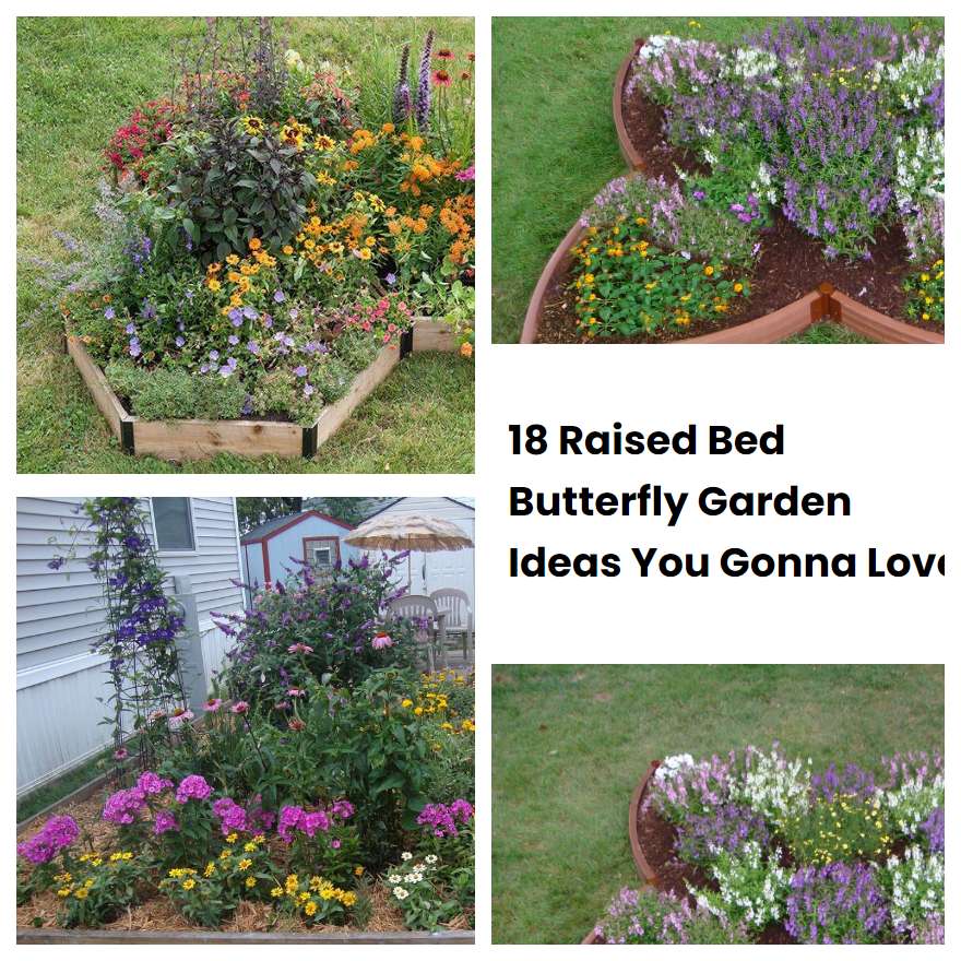 18 Raised Bed Butterfly Garden Ideas You Gonna Love | SharonSable