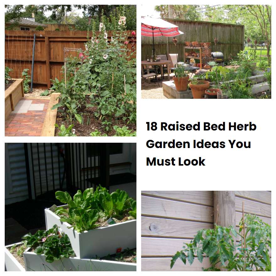 18 Raised Bed Herb Garden Ideas You Must Look | SharonSable