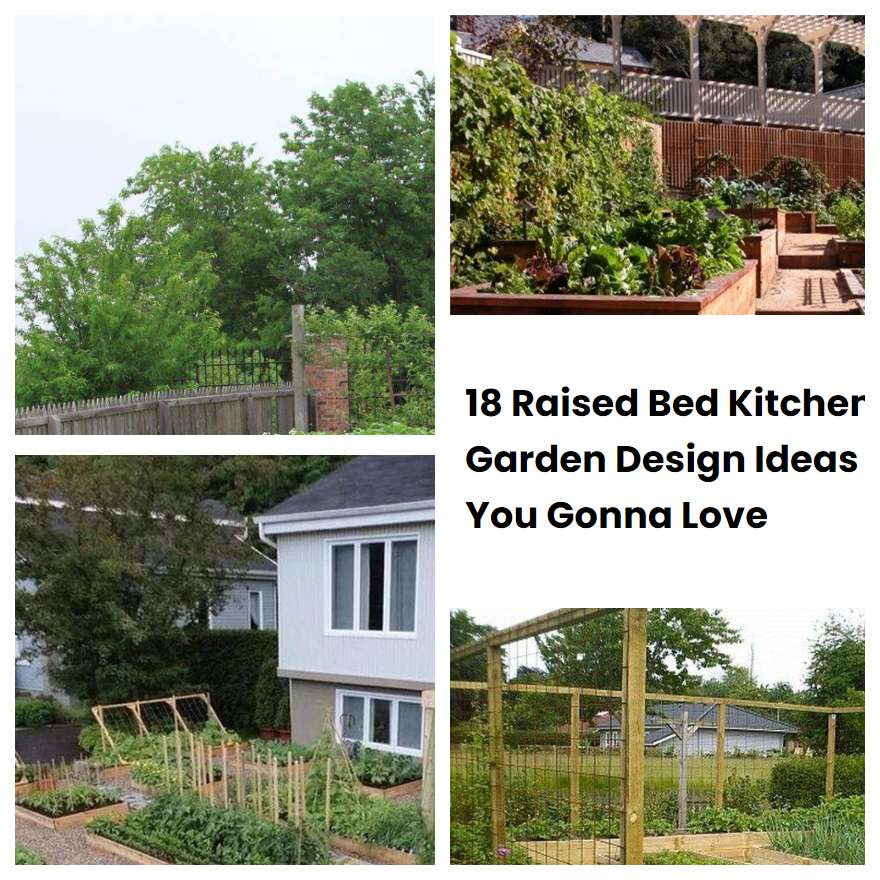 18 Raised Bed Kitchen Garden Design Ideas You Gonna Love | SharonSable
