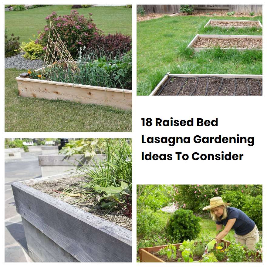 21 DIY Deer-Proof Raised Garden Beds Ideas Worth a Look | SharonSable