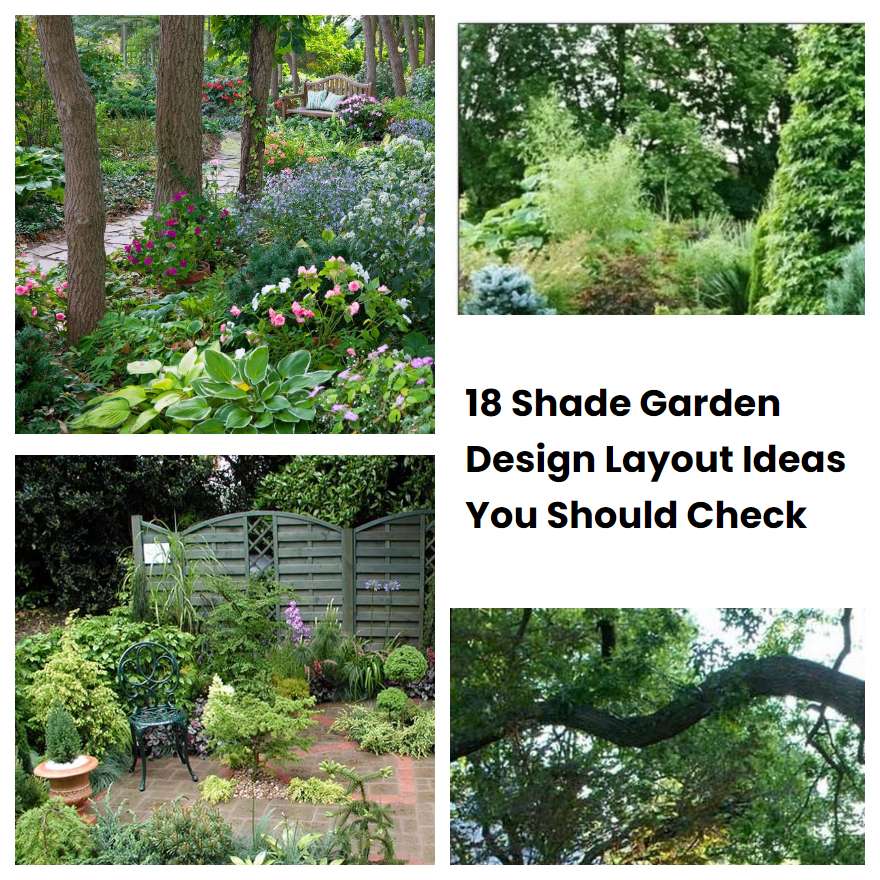 18 Shade Garden Design Layout Ideas You Should Check | SharonSable