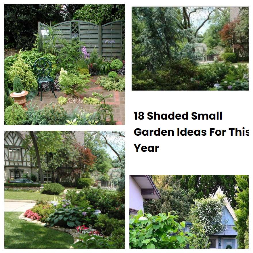24 Tea Garden Design Ideas You Cannot Miss | SharonSable