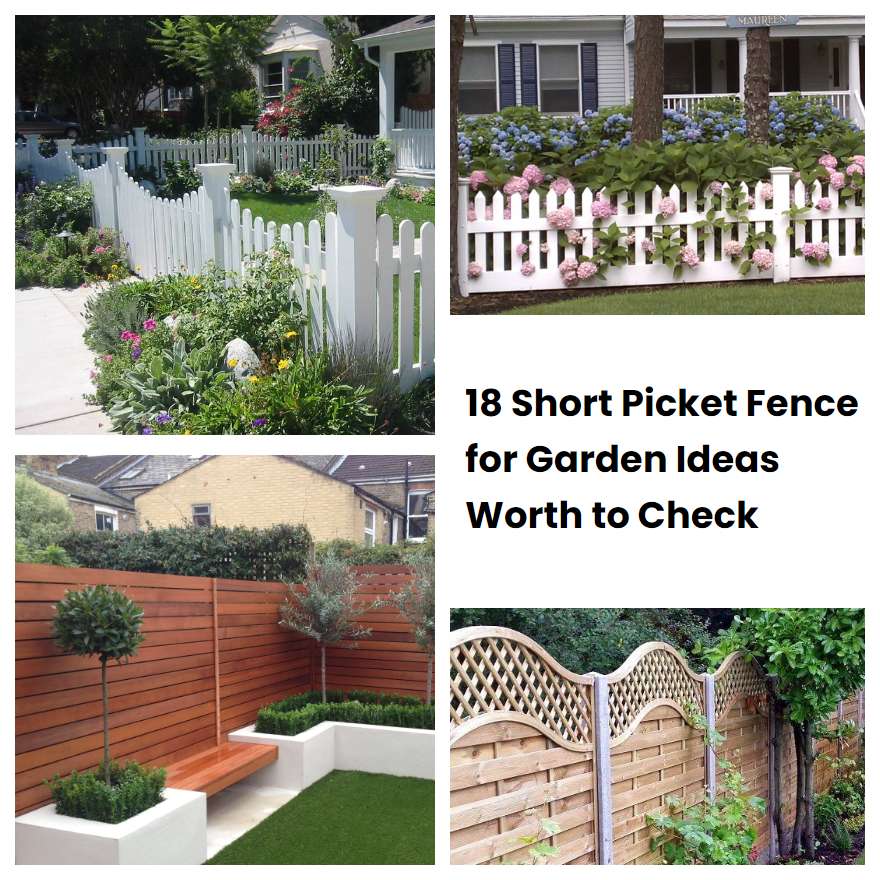 18 Short Picket Fence for Garden Ideas Worth to Check | SharonSable