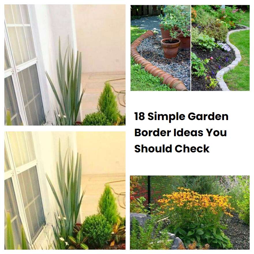 18 Simple Garden Border Ideas You Should Check | SharonSable