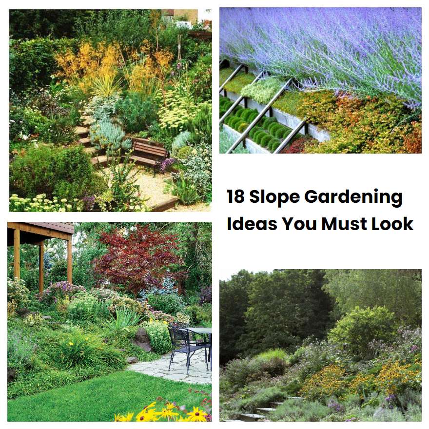 18 Slope Gardening Ideas You Must Look | SharonSable