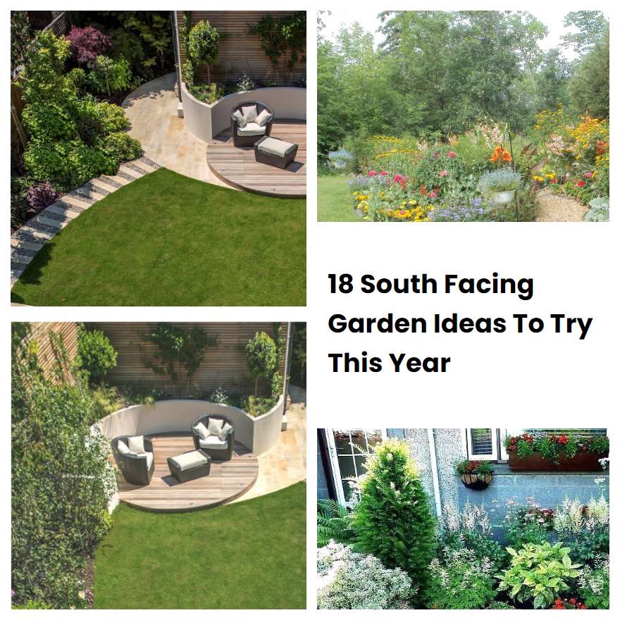 18 South Facing Garden Ideas To Try This Year | SharonSable