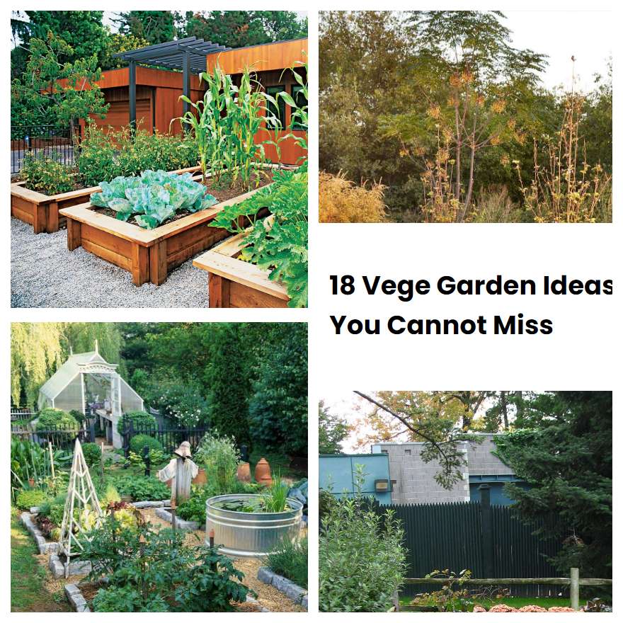 18 Vege Garden Ideas You Cannot Miss | SharonSable