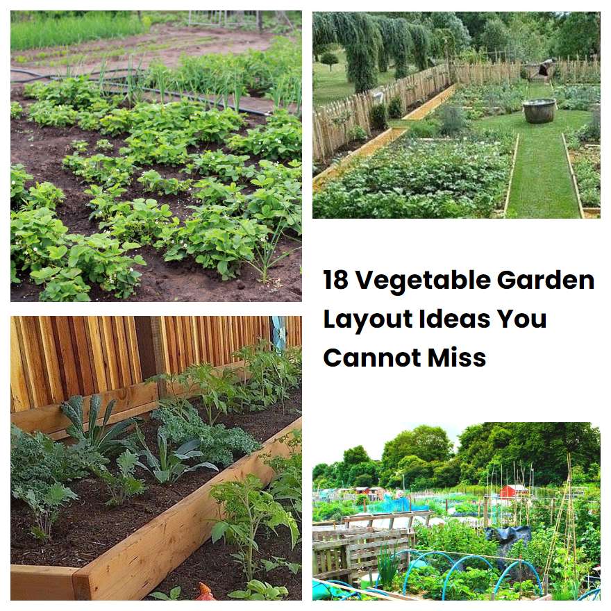 18 Vegetable Garden Layout Ideas You Cannot Miss | SharonSable