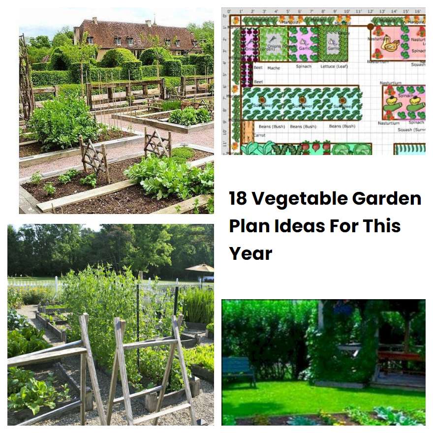 18 Vegetable Garden Plan Ideas For This Year | SharonSable