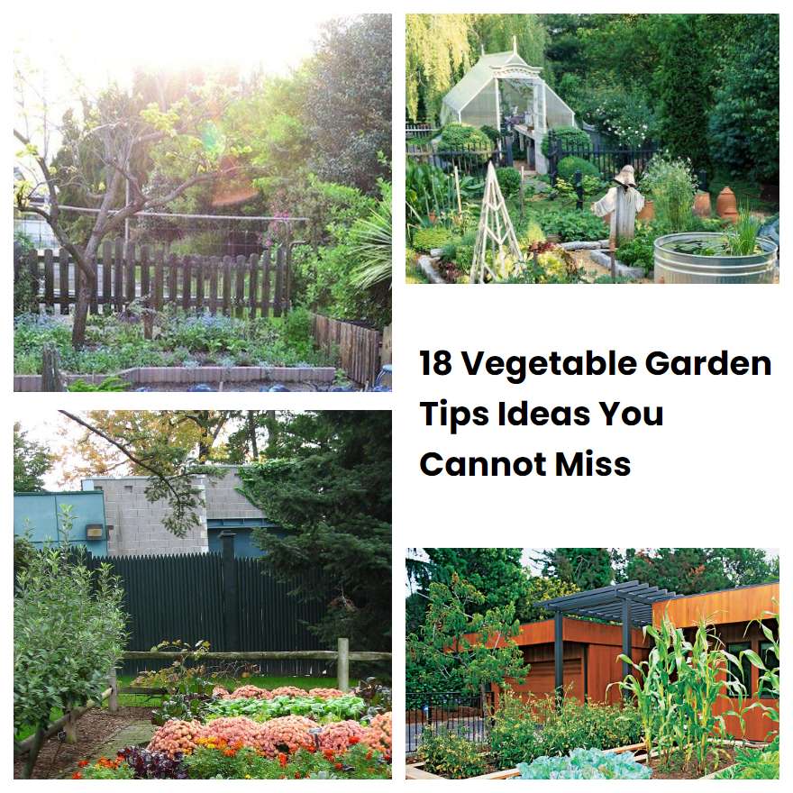 18 Vegetable Garden Tips Ideas You Cannot Miss | SharonSable
