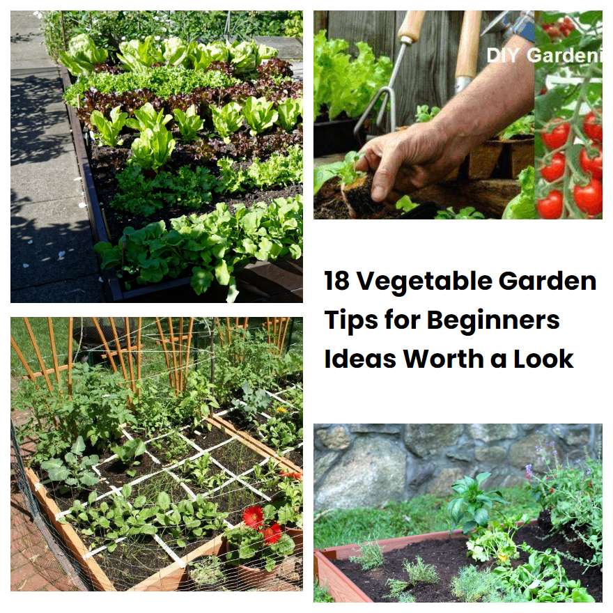 18 Vegetable Garden Tips for Beginners Ideas Worth a Look | SharonSable