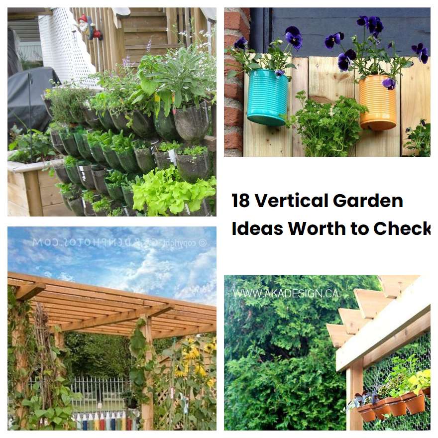18 Vertical Garden Ideas Worth to Check | SharonSable