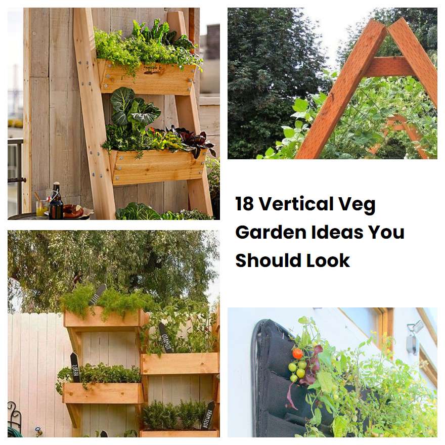 18 Vertical Veg Garden Ideas You Should Look | SharonSable