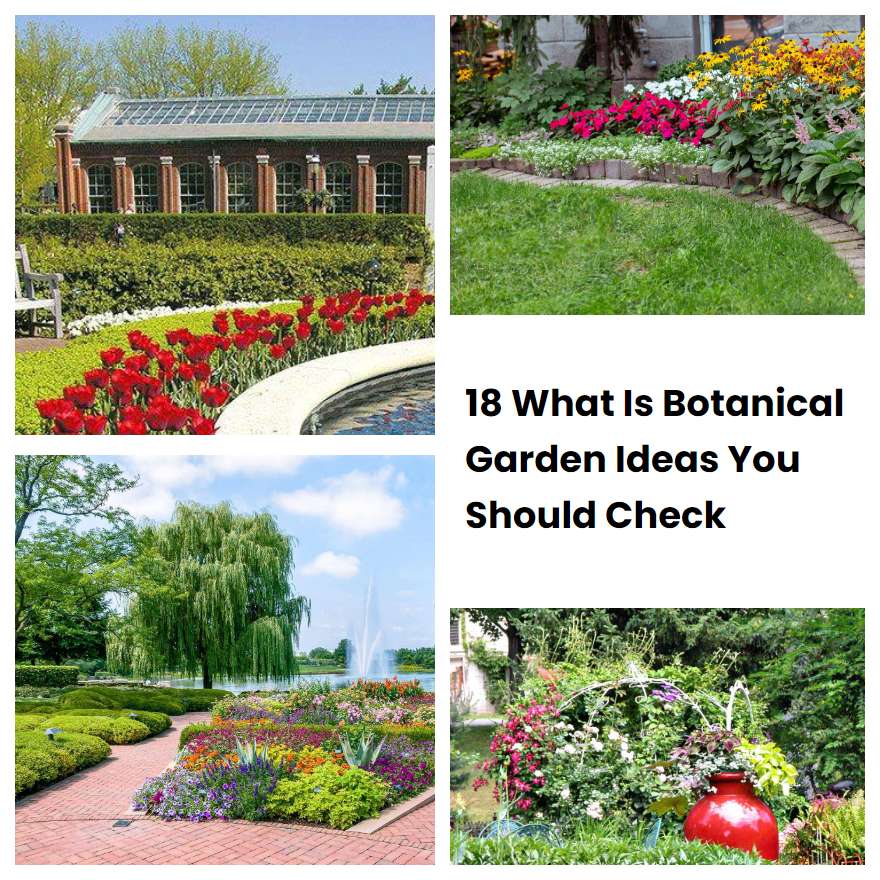 18 What Is Botanical Garden Ideas You Should Check | SharonSable