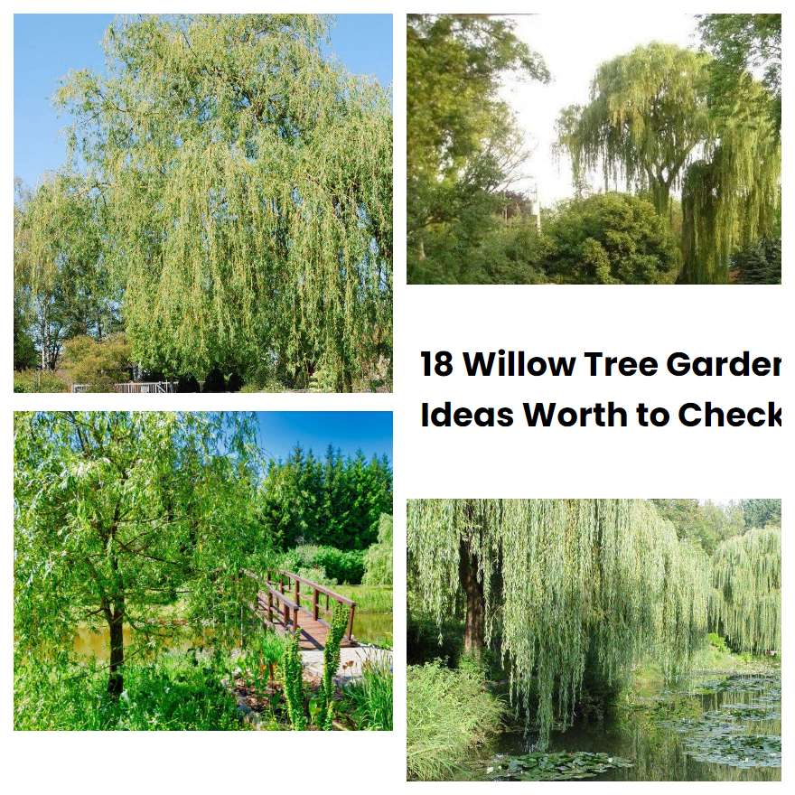 18 Willow Tree Garden Ideas Worth to Check | SharonSable
