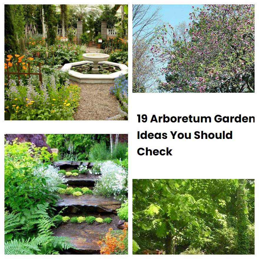 19 Arboretum Garden Ideas You Should Check | SharonSable