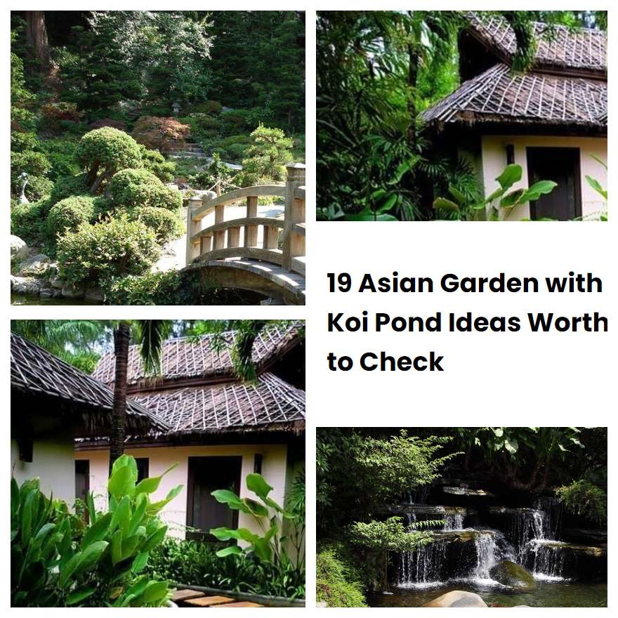 19 Asian Garden with Koi Pond Ideas Worth to Check | SharonSable