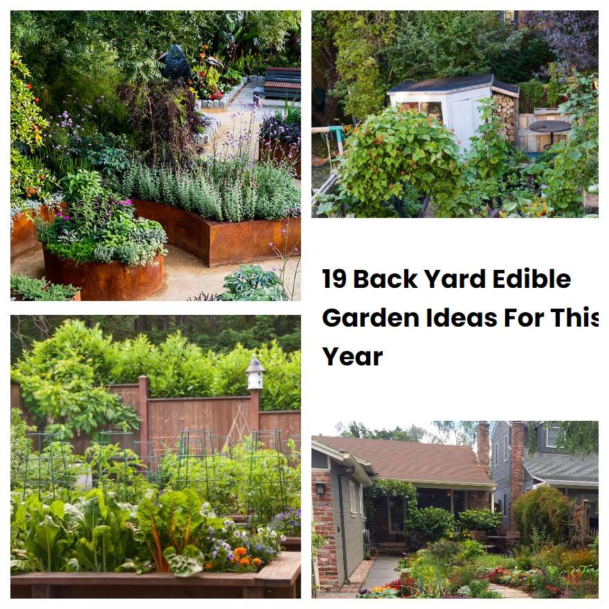 19 Back Yard Edible Garden Ideas For This Year | SharonSable