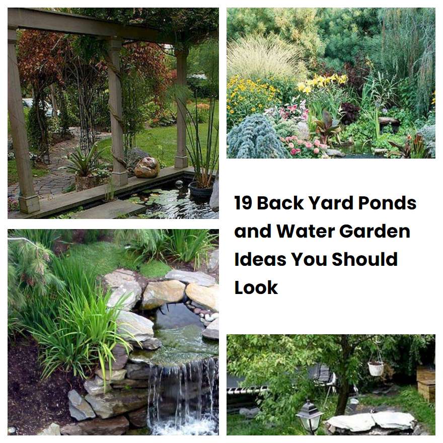 19 Back Yard Ponds and Water Garden Ideas You Should Look | SharonSable