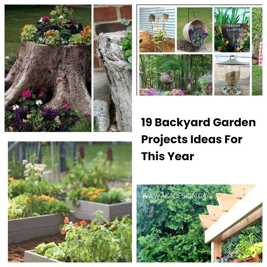 19 Backyard Garden Projects Ideas For This Year | SharonSable