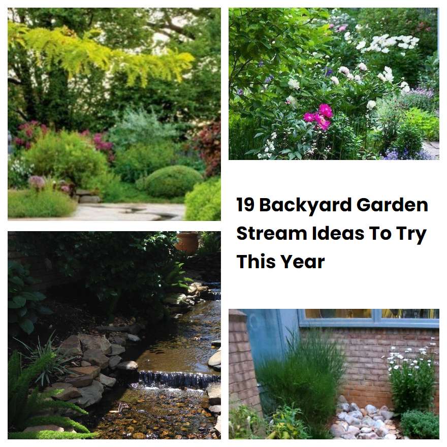 19 Backyard Garden Stream Ideas To Try This Year | SharonSable