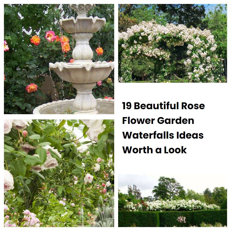 19 Beautiful Rose Flower Garden Waterfalls Ideas Worth a Look | SharonSable