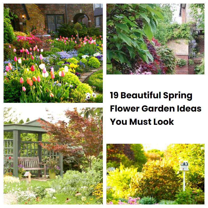 19 Beautiful Spring Flower Garden Ideas You Must Look | SharonSable