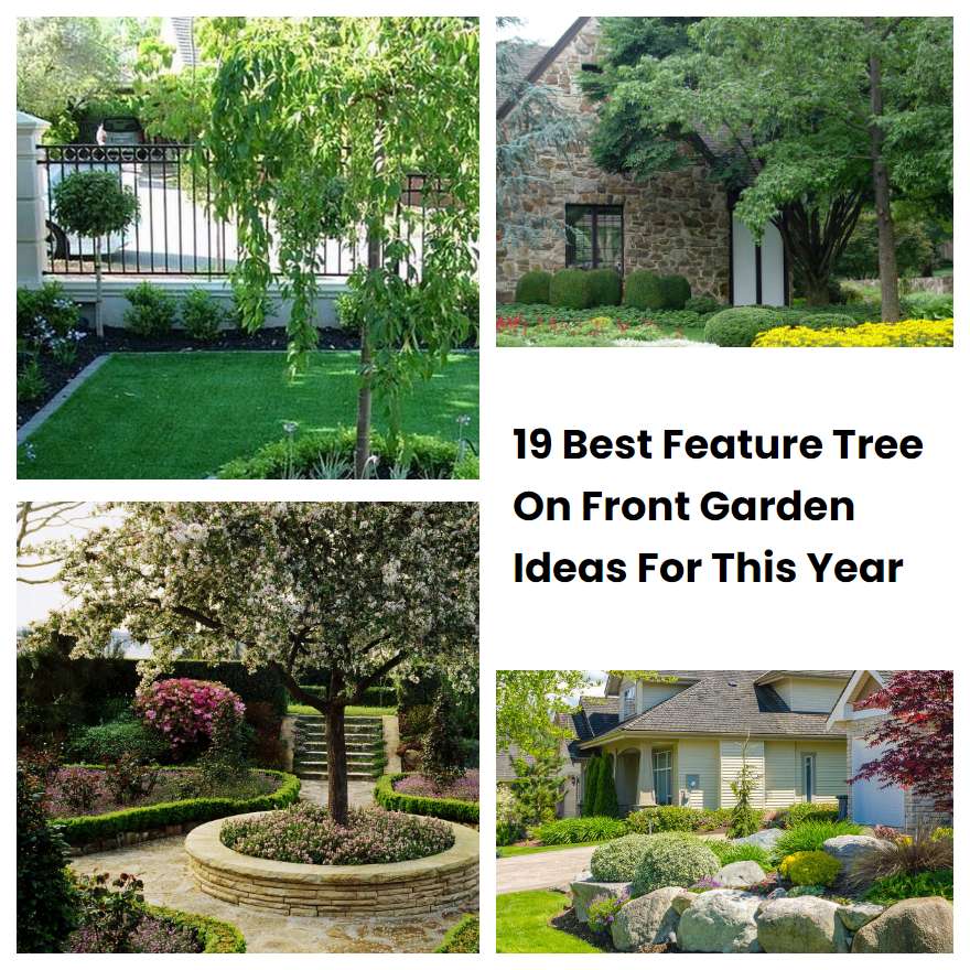19 Best Feature Tree On Front Garden Ideas For This Year | SharonSable