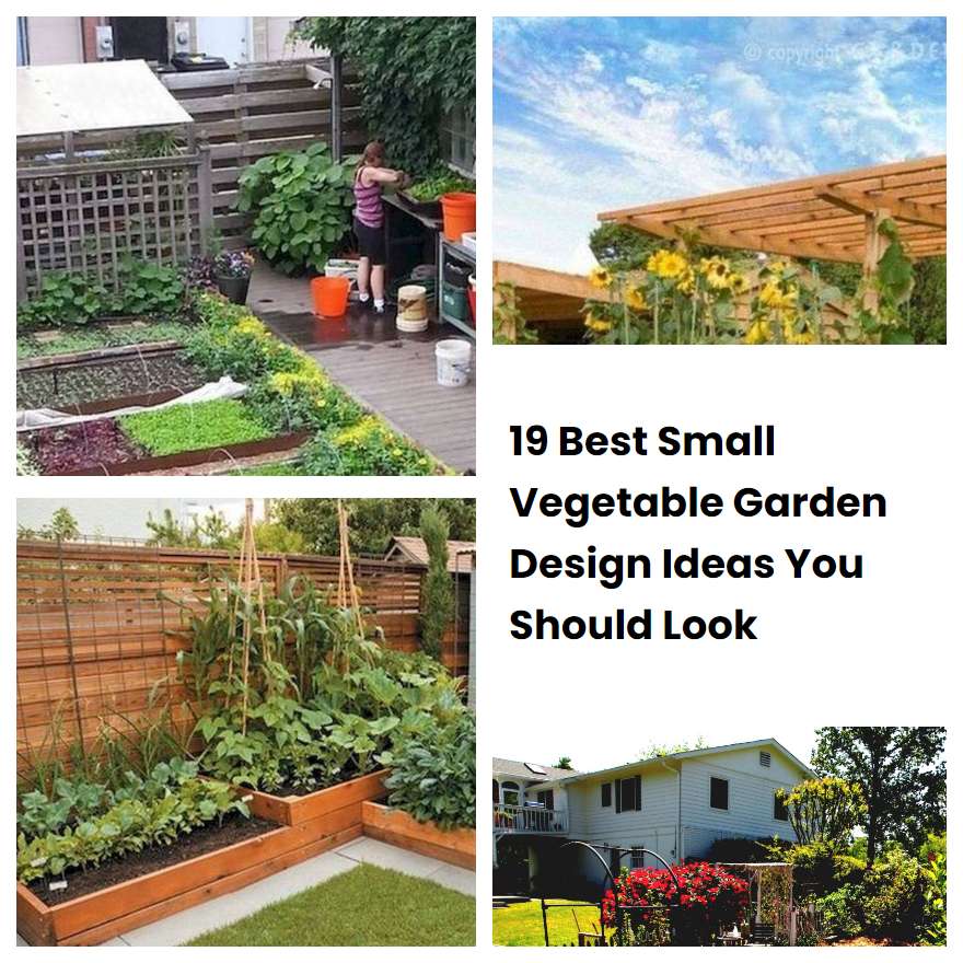 22 Painted Garden Walls Ideas You Cannot Miss | SharonSable