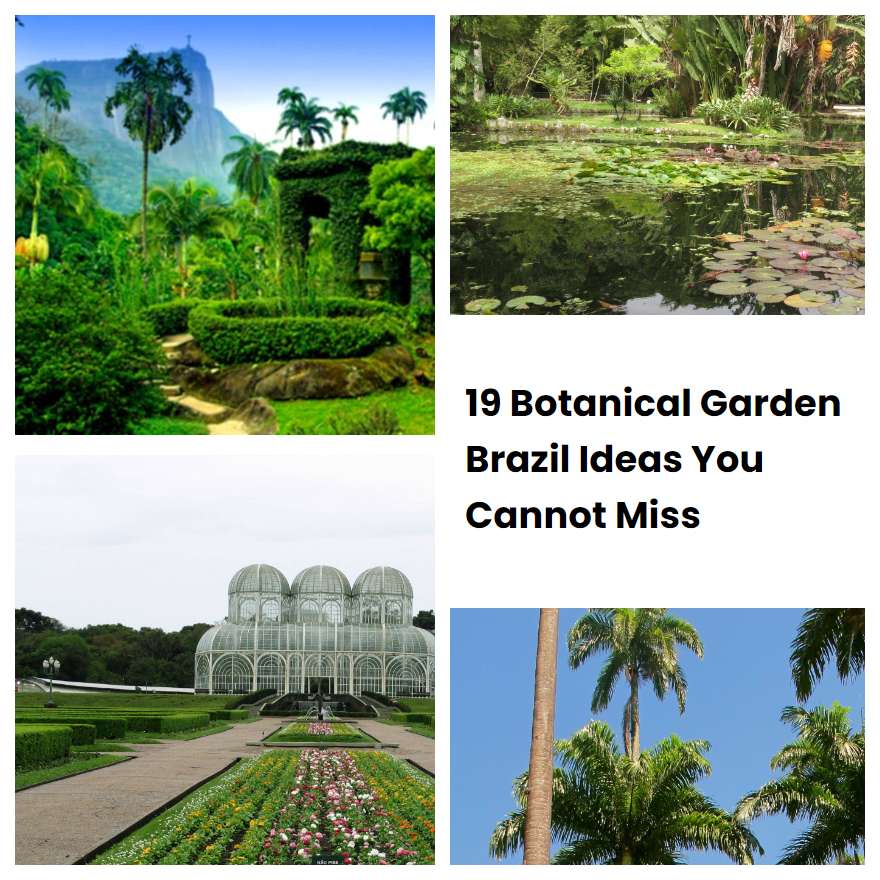 19 Botanical Garden Brazil Ideas You Cannot Miss | SharonSable