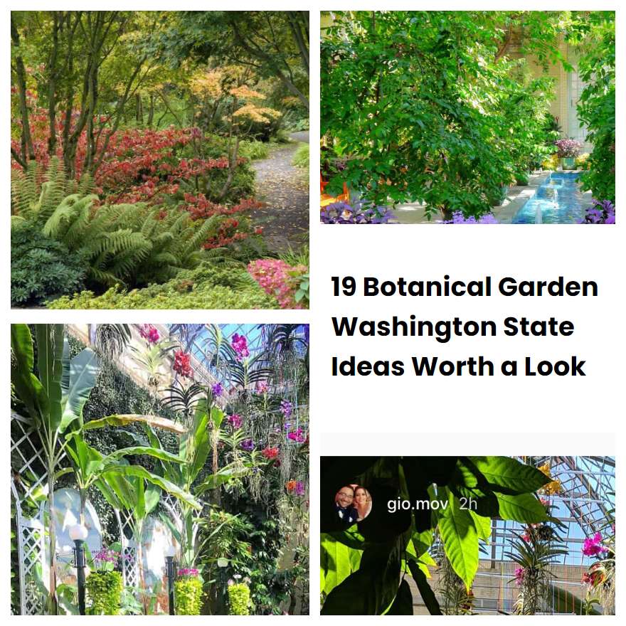 19 Botanical Garden Washington State Ideas Worth a Look | SharonSable