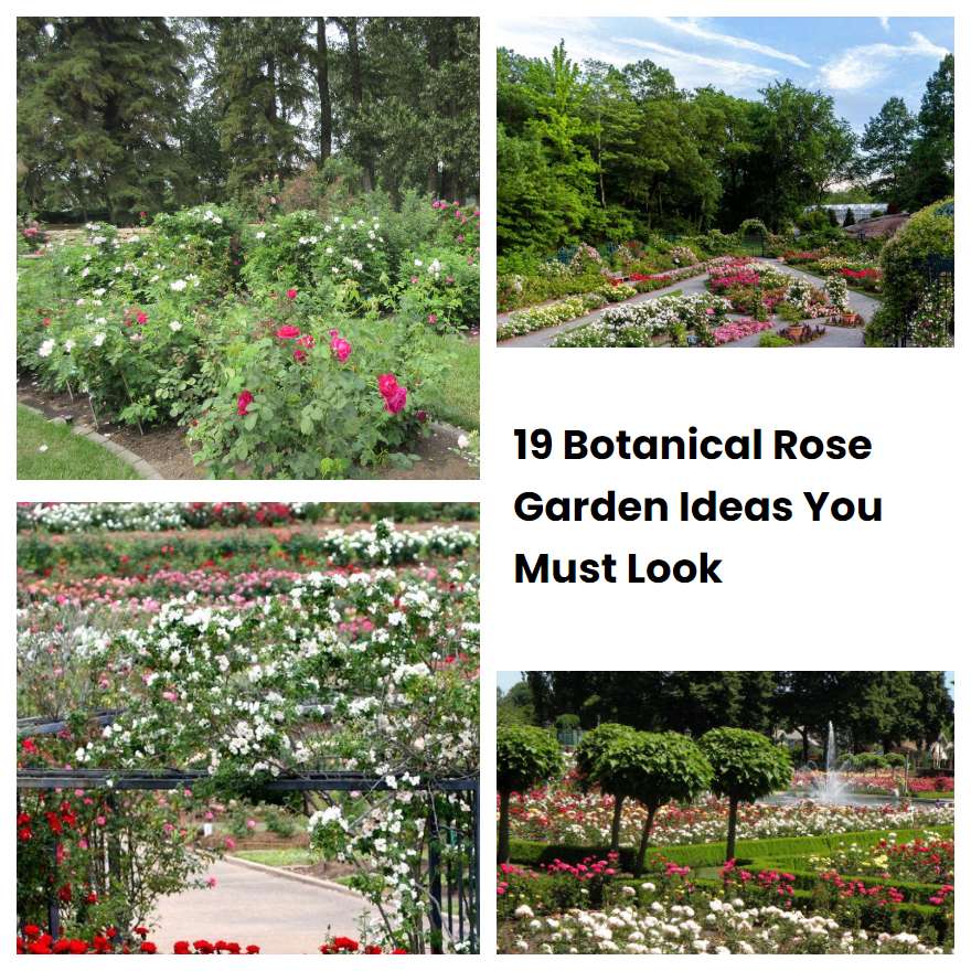 19 Botanical Rose Garden Ideas You Must Look | SharonSable