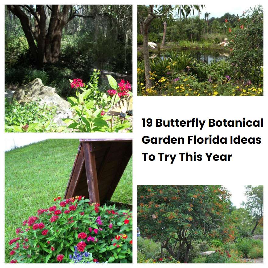 19 Butterfly Botanical Garden Florida Ideas To Try This Year | SharonSable
