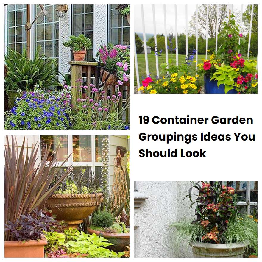 19 Container Garden Groupings Ideas You Should Look | SharonSable