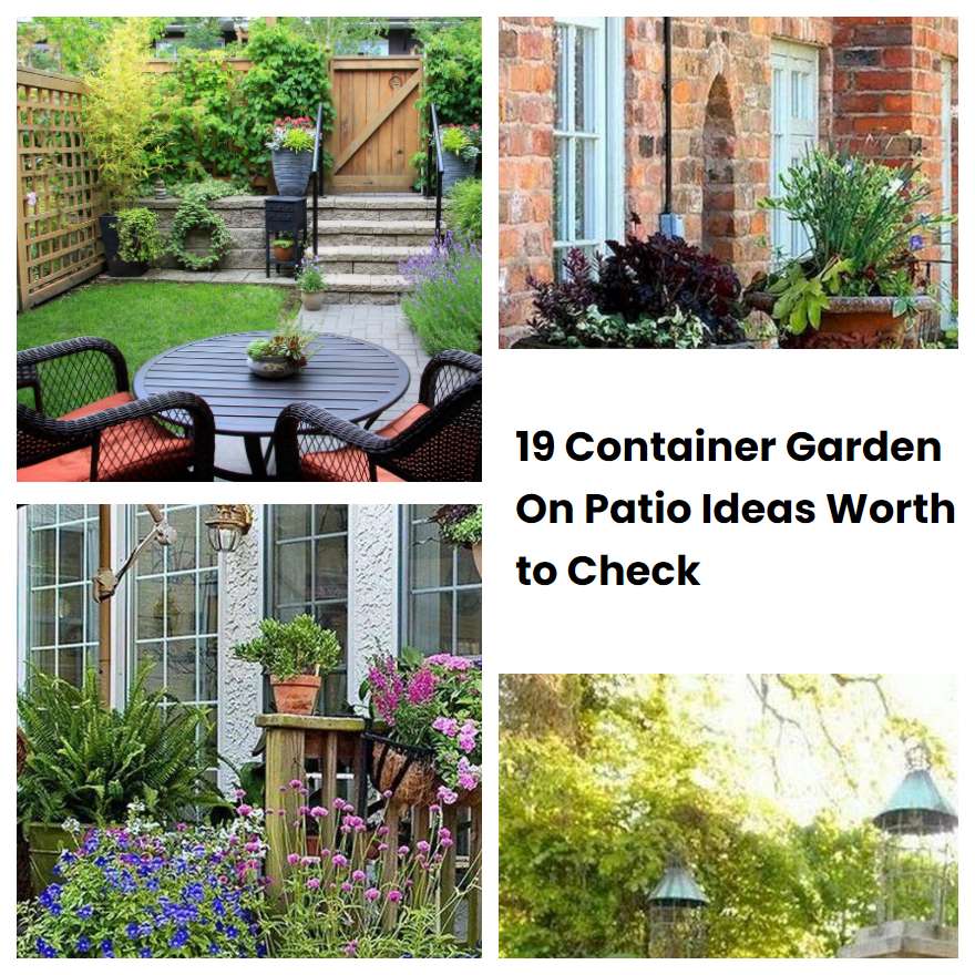 19 Container Garden On Patio Ideas Worth to Check | SharonSable